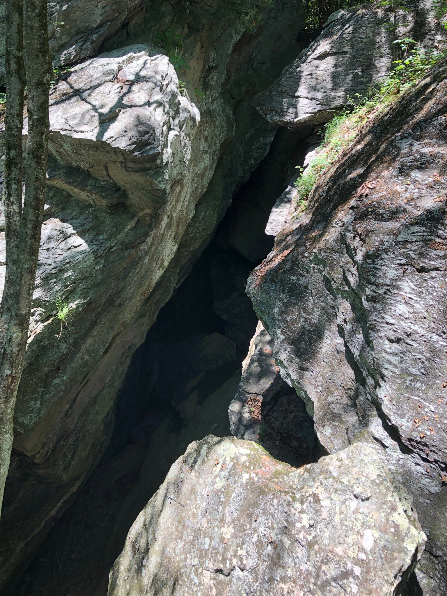 Carroll County – Roving through Virginia with Rover