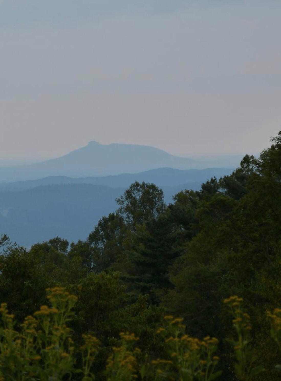 Carroll County – Roving through Virginia with Rover